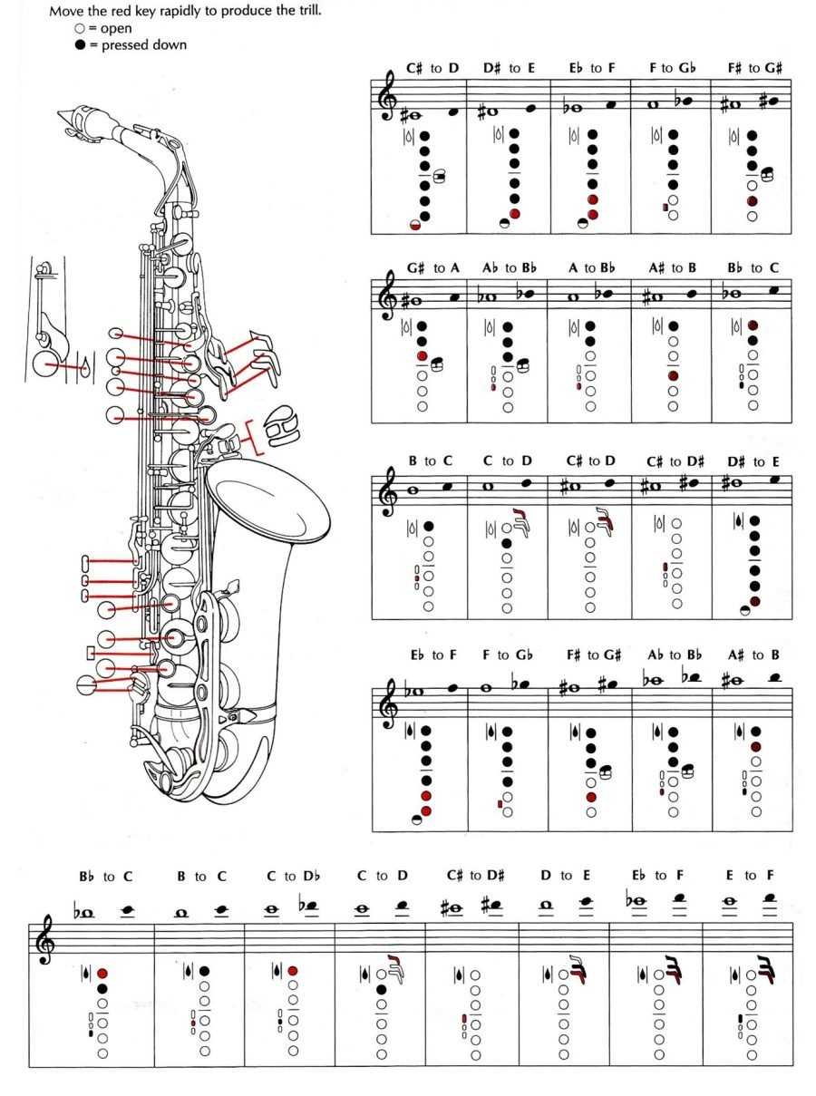 Tenor Sax Fingering Chart: Check Tenor Saxophone Chart – Chartspedia